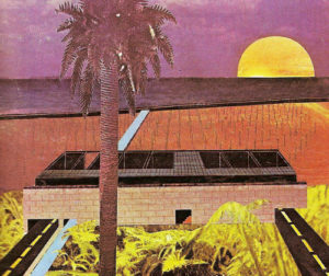 ON PINKNESS: The Pink House and its Secret Spatial Heart | Miami Rail